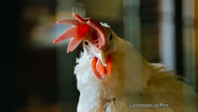 LatinAmerican Post - What is happening in Latin America?