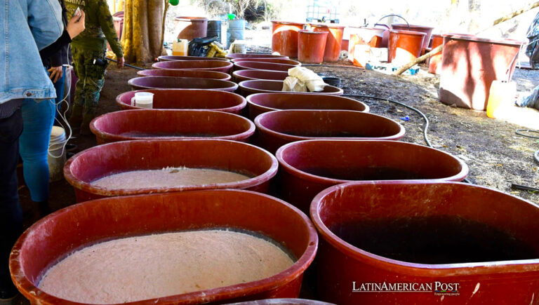 Mexican Armed Forces Uncover Largest Meth Lab Amid Uptick in Drug ...