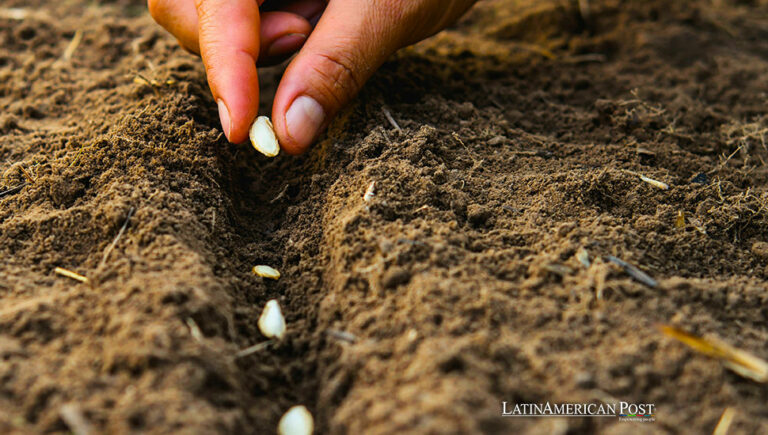 Advancing Agri-Tech: Venezuela's Strategic Seed Conservation Initiative - LatinAmerican Post