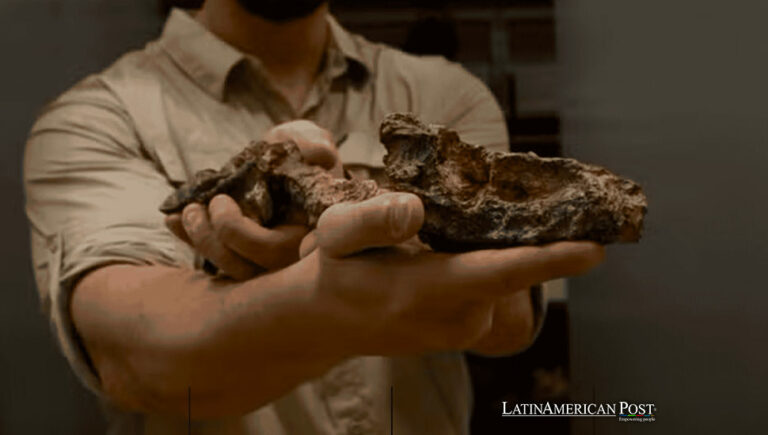 Fossil Discovery in Brazil Uncovers Pre-Dinosaur Reptile ...