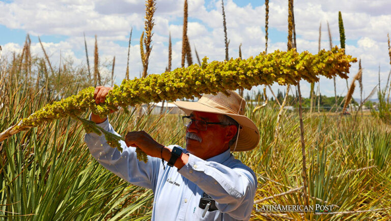 LatinAmerican Post - What is happening in Latin America?