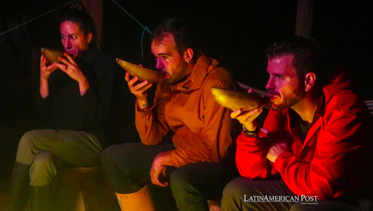 Ritual Guayusa como tradición energizante en la Amazonía ecuatoriana ...