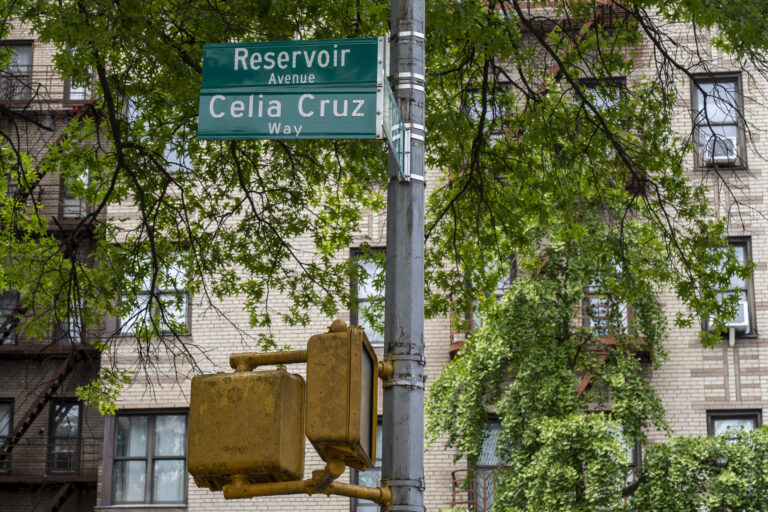 Cuban Iconic Voice Celia Cruz Immortalized During Hundredth-Year ...
