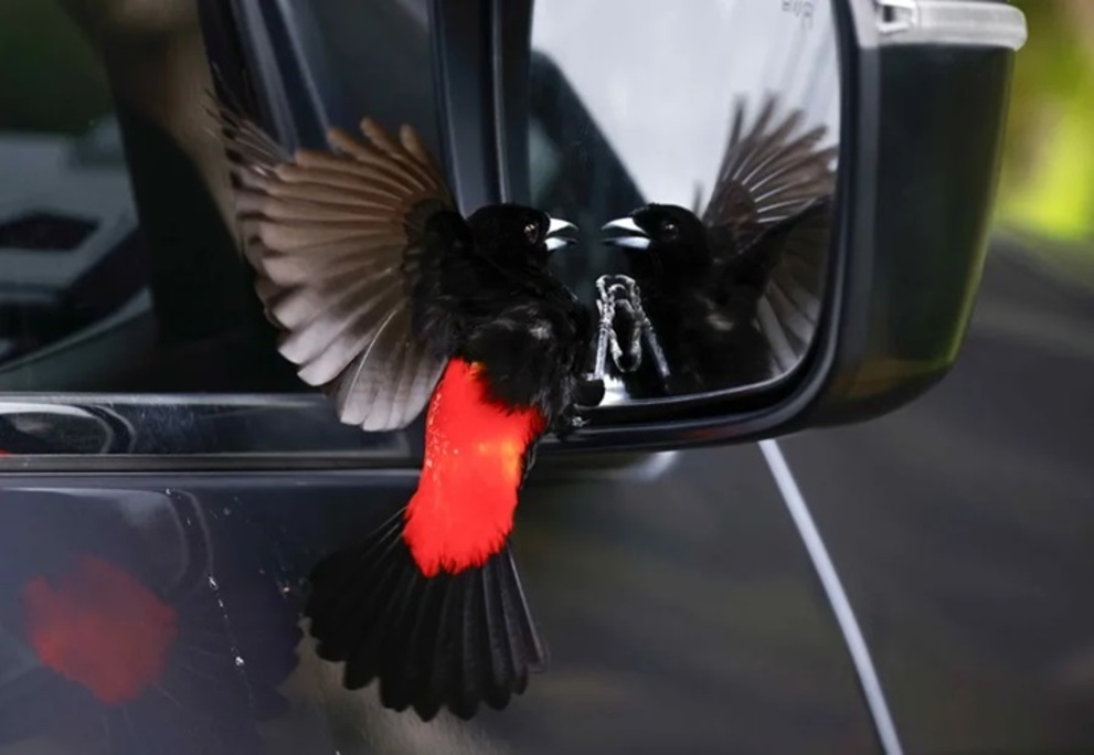 Costa Rica’s Arenal Volcano Proves Wellness Is More Than a Tourism ...