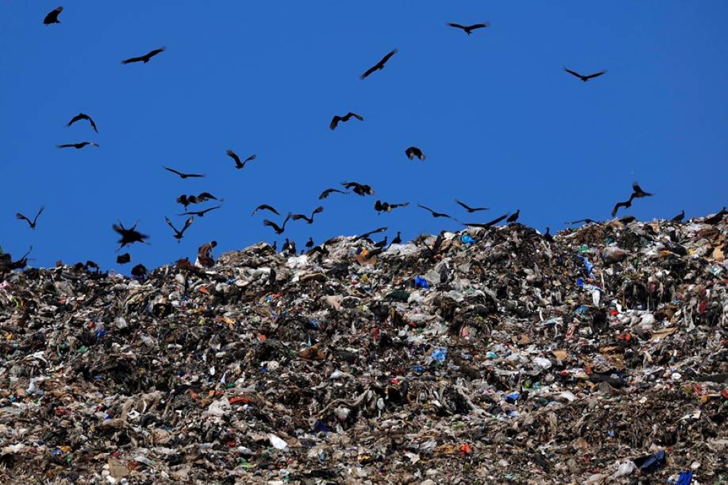 Panama Sends Incarcerated Women to Clean Streets as Trash Crisis ...